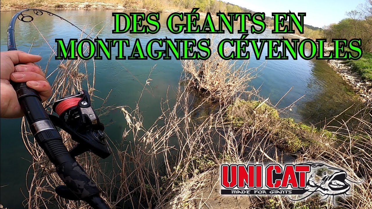 LES GEANTS DES MONTAGNES CEVENOLES - YouTube