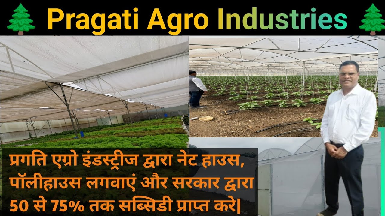 pragati Agro द्वारा नेट हाउस और पॉलीहाउस लगवाकर सरकार द्वारा सब्सिडी ...