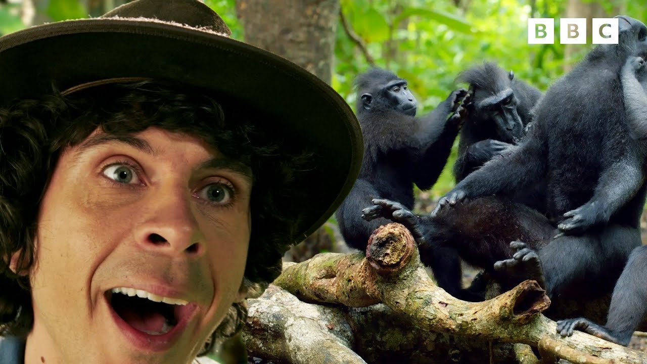 Monkey Business with Andy! 🐒 | Andy's Safari Adventures | Andy's ...