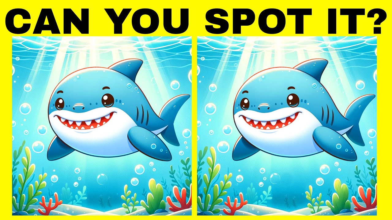 Spot & Find the 3 Differences - YouTube