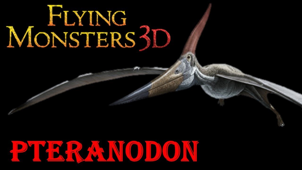 flying monsters 3D Pteranodon screen time - YouTube