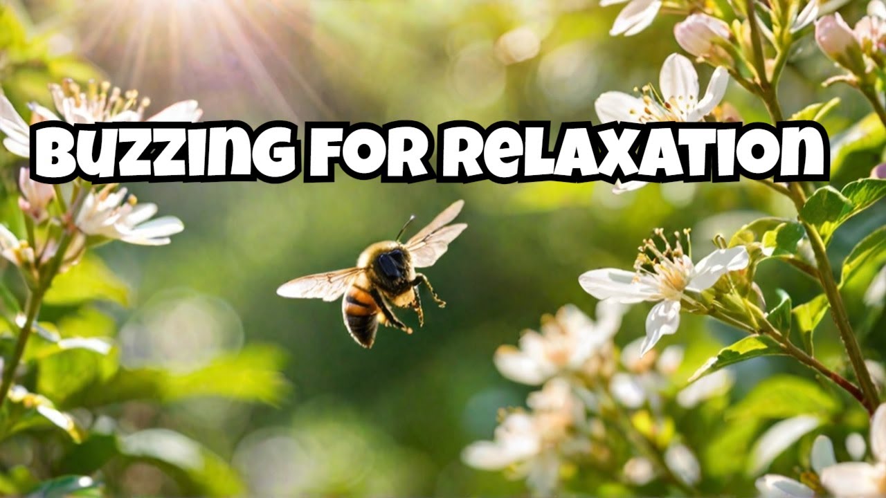 Relaxing Bee Sounds to Help You Sleep (ASMR) - YouTube