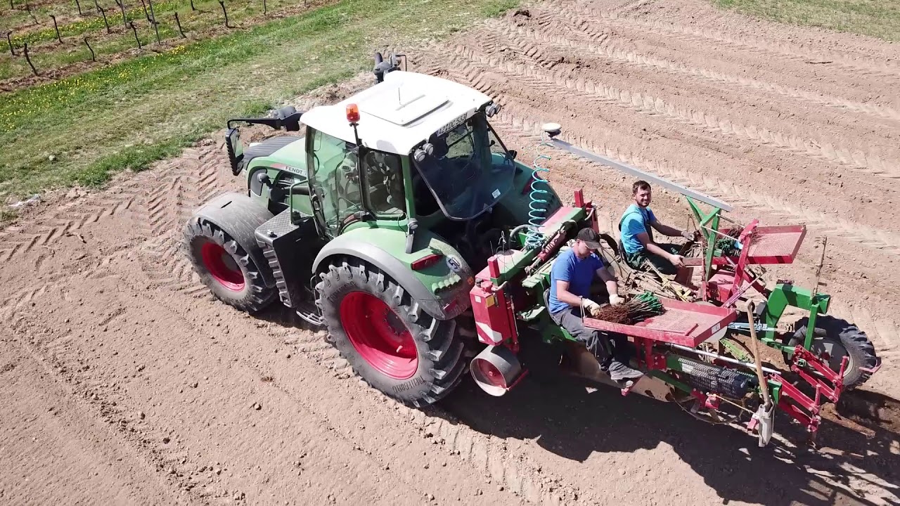 Reben setzen 2018 - YouTube