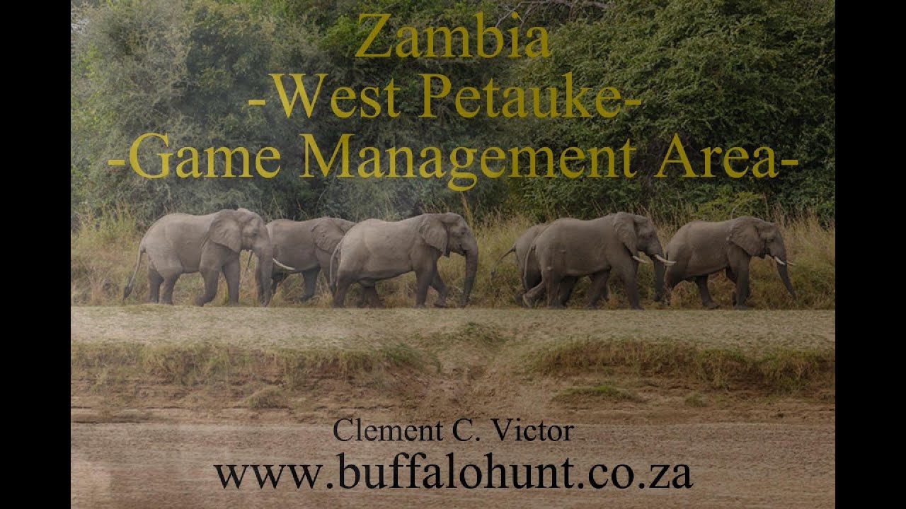 Hunting Zambia-West Petauke Game Management Area - YouTube