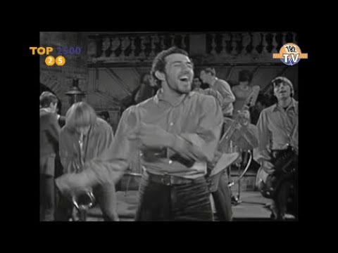 NEW 📀 Wooly Bully - Sam The Sham & The Pharaohs {Stereo} 1965