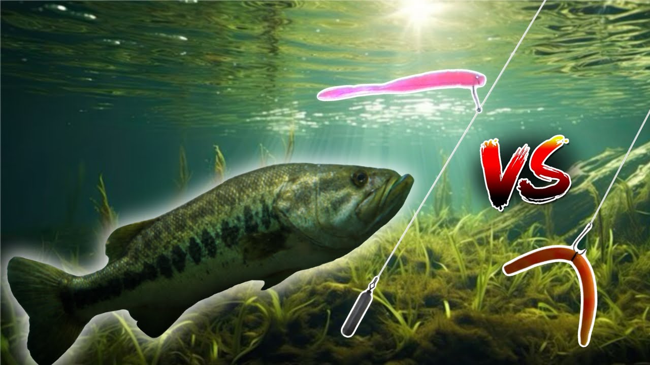 DROP SHOT VS WACKY RIG (FISHING RIG TOURNAMENT) - YouTube