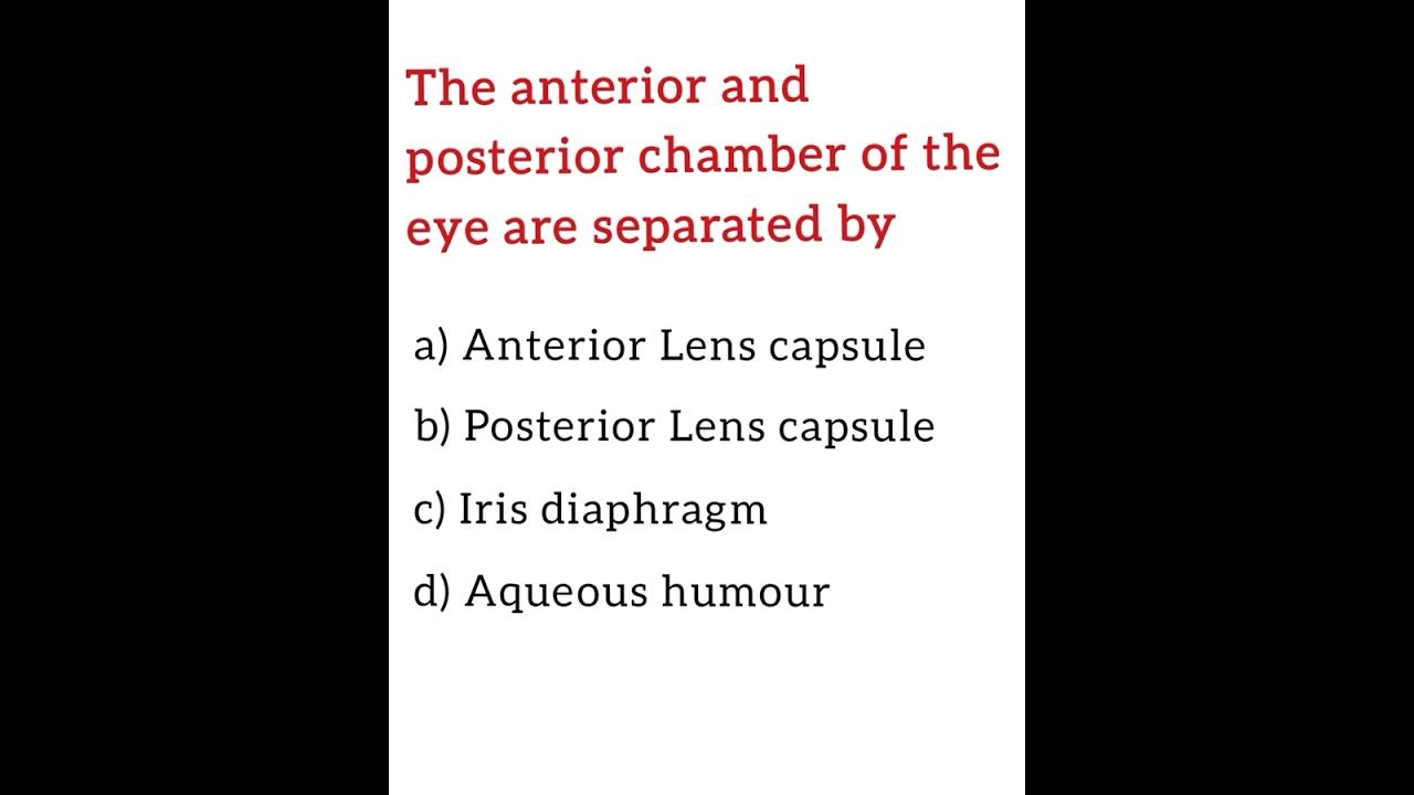 Posterior Chamber