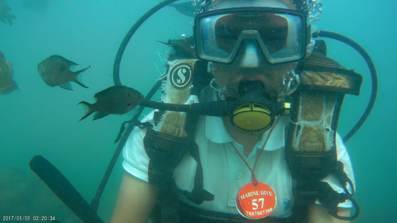 Marine dive - YouTube