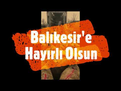 Macaristan Merinos ırkı Damızlık Koyunların Yüklemesi 1300 TL ÇİFTLİK TESLİM ( 210 EURO)