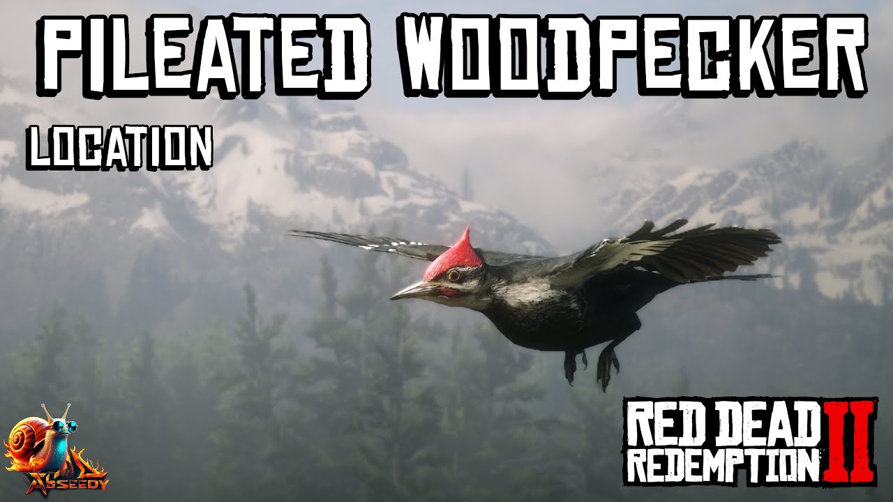 Pileated Woodpecker Location - Red Dead Redemption 2 - YouTube