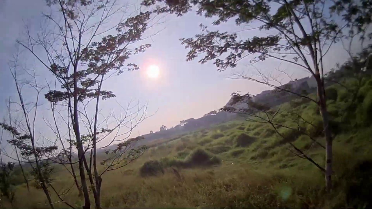 Scoping around the trees - YouTube
