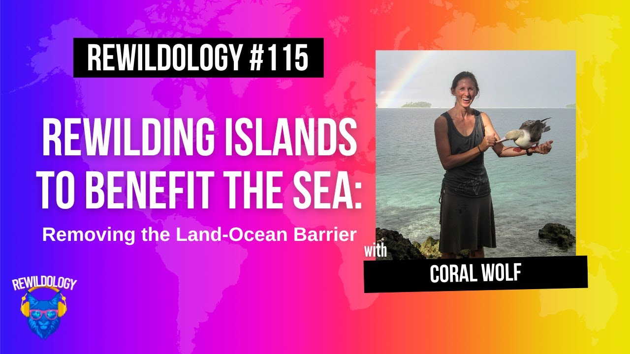 Rewilding Islands to Benefit the Sea: Removing the Land-Ocean Barrier ...