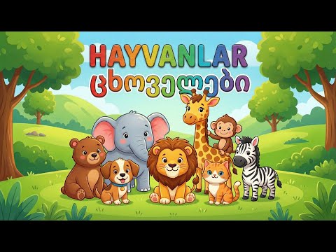 Hayvanlar (ცხოველები)