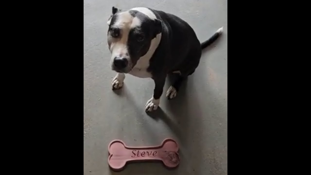 Making a Personalized Dog Bone with the CNC - YouTube