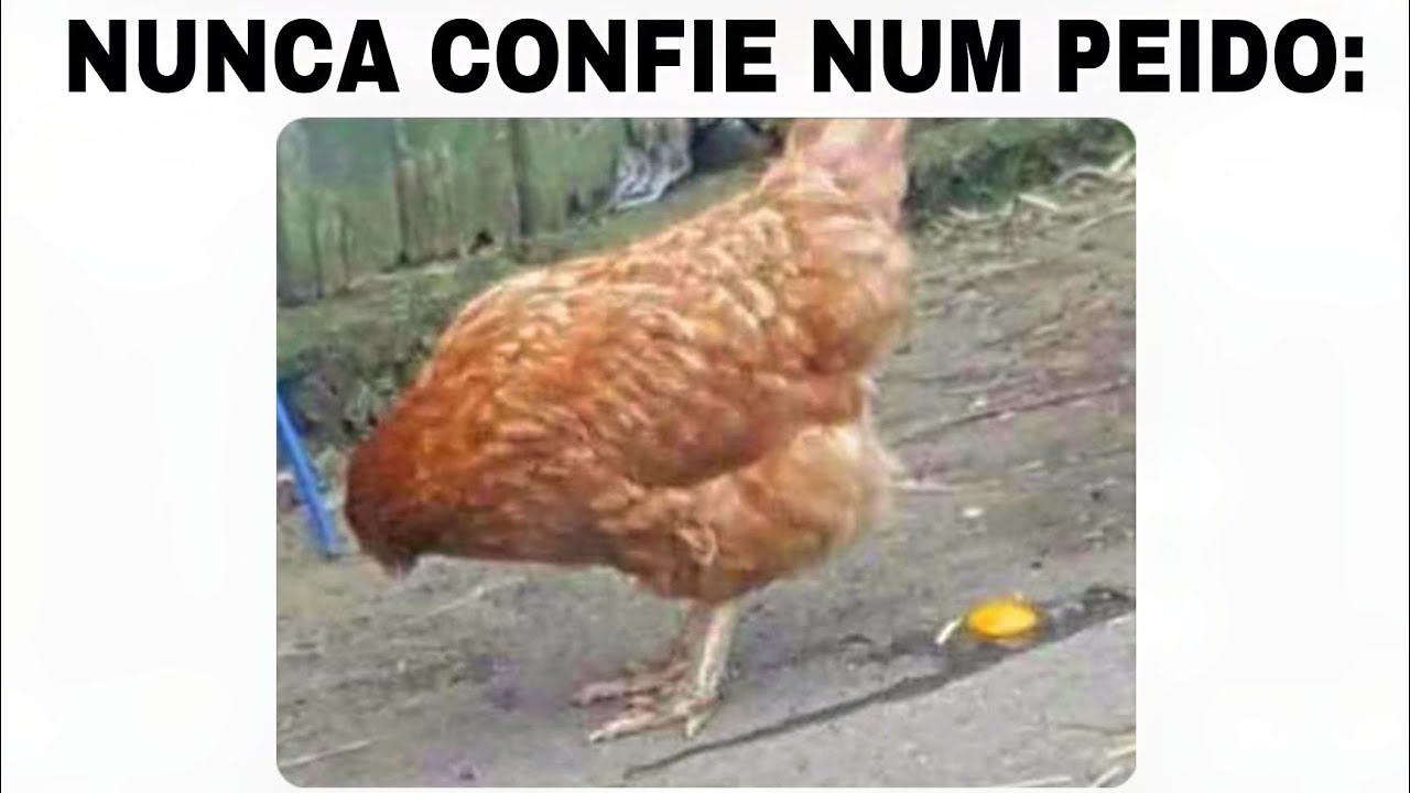 MEMES EM IMAGENS #169 ||NUNCA CONFIE NUM PEIDO 🐔💩 - YouTube