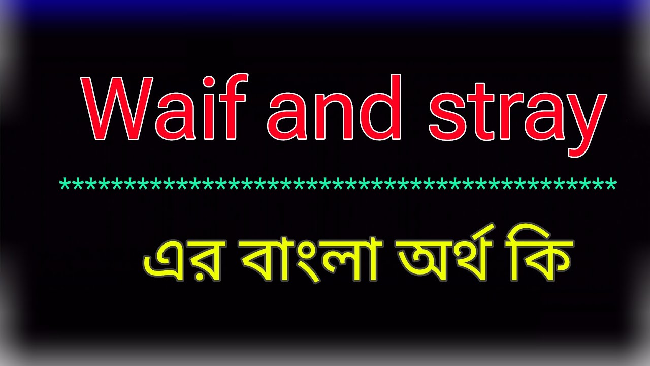 Waif and stray এর বাংলা অর্থ। Waif and stray meaning in bangla | Waif ...