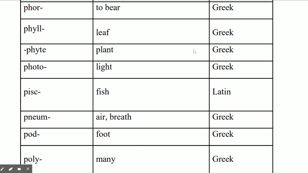 100 Most common roots, stems, and combining forms - YouTube