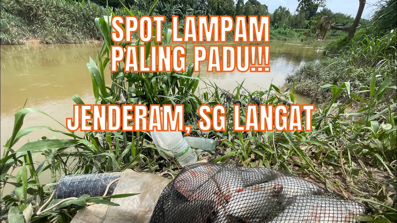 LUBUK Ikan Lampam Jenderam Hilir, Sg Langat | Catching many fish ...