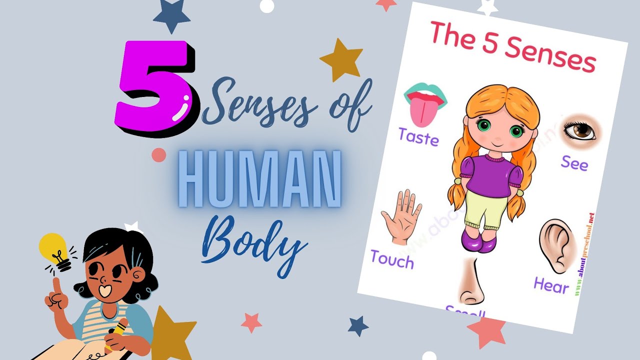 Five Senses for kids / kids learning #learning #littleyoutuber #5senses ...