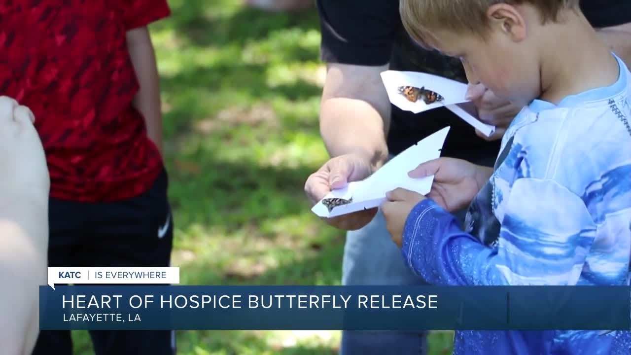 Heart of Hospice butterfly release - YouTube