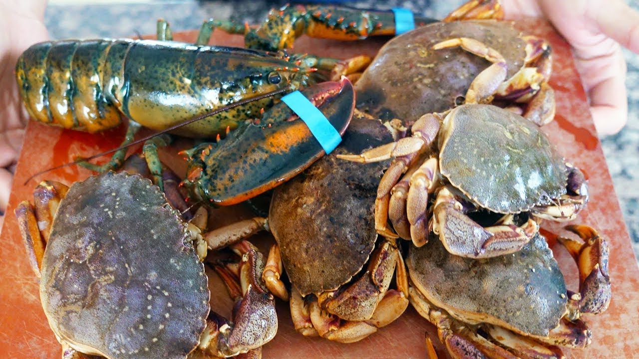 Freediving for Crabs in Cape Cod and How to Make Classic Lobster Crab ...