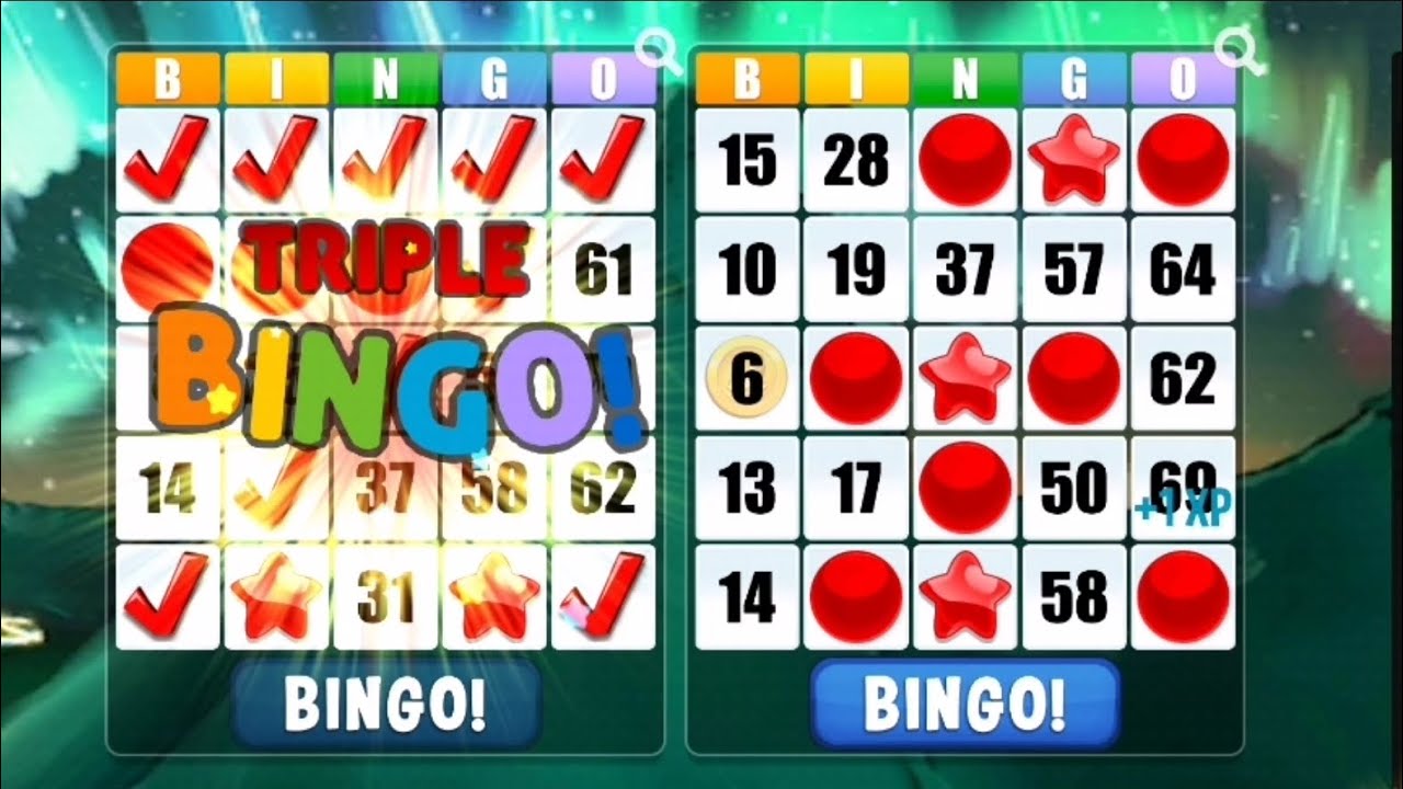 BINGO #65-Big Win / Triple win /Please watch - YouTube