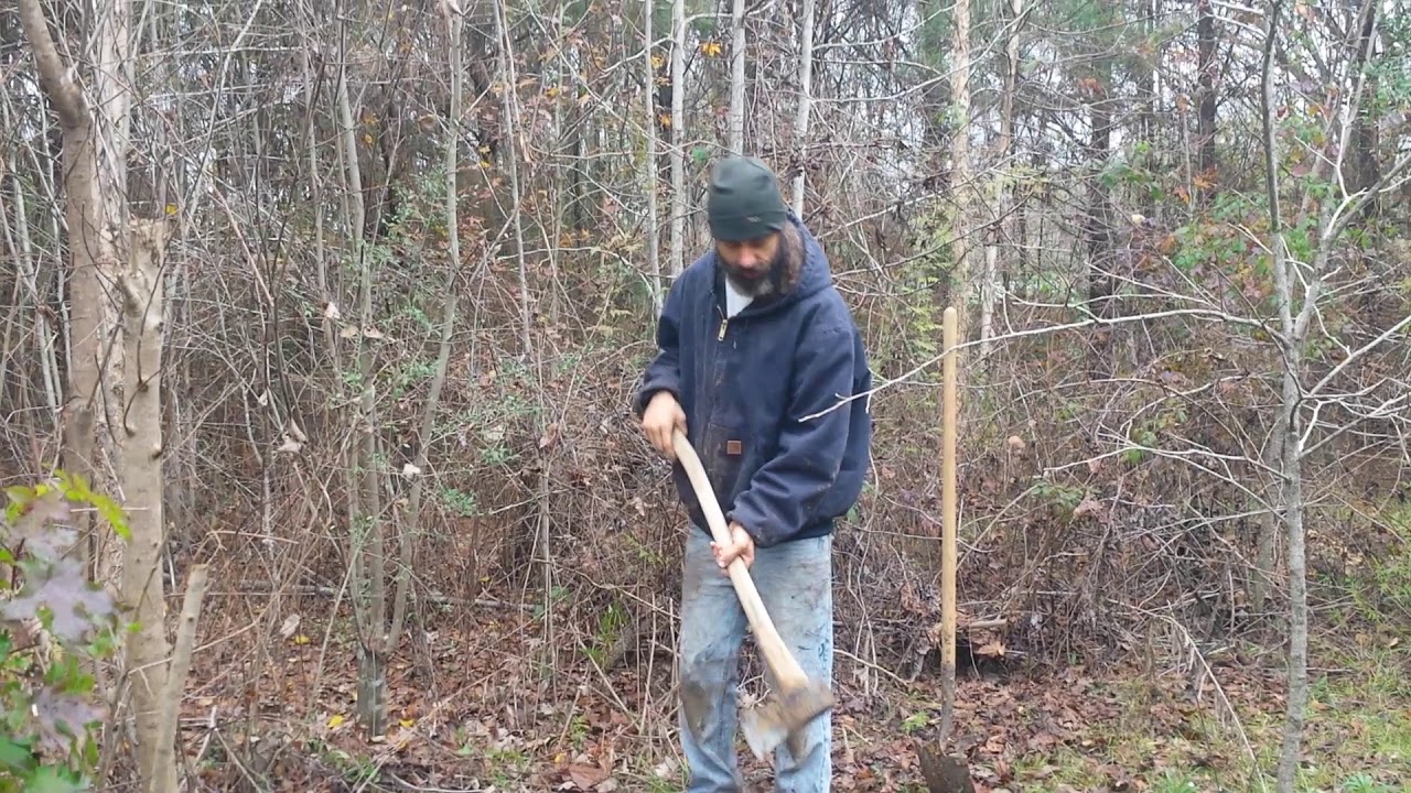 How to Remove a Tree Stump By Hand - YouTube