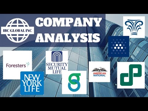 In Depth Company Analysis - YouTube