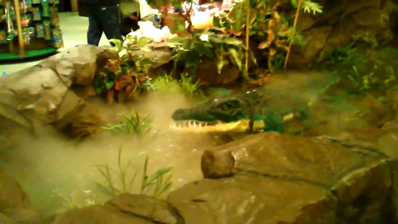 Croc at rainforest cafe tukwila WA - YouTube