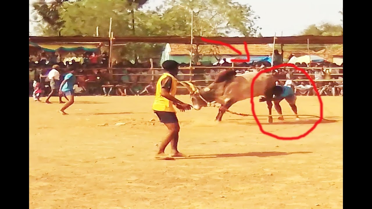 kandanur vadam manjuvirattu கோட்டையூர் பிடாரி அம்மன் குழ vs ...