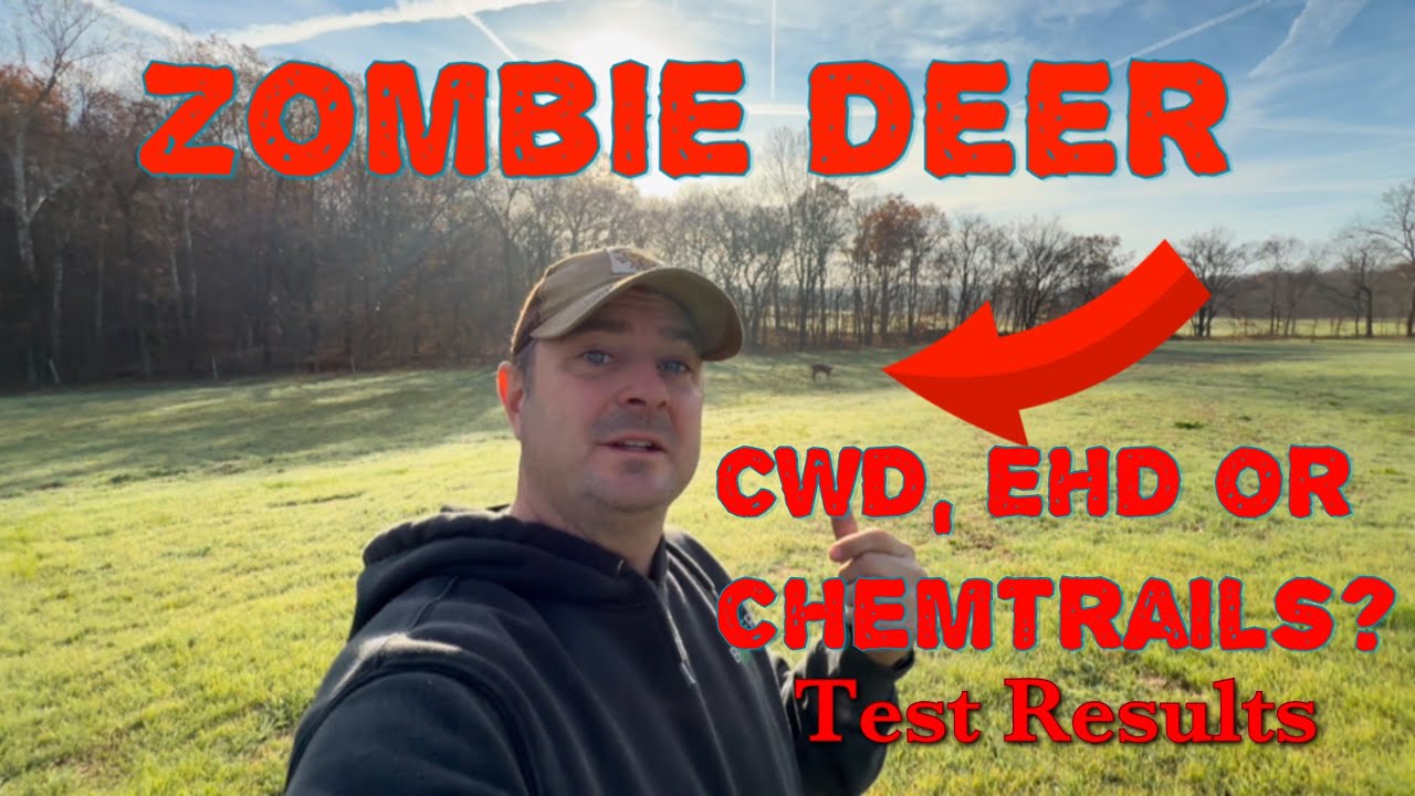 Zombie Deer Tested for Chronic Wasting Disease (CWD) - YouTube
