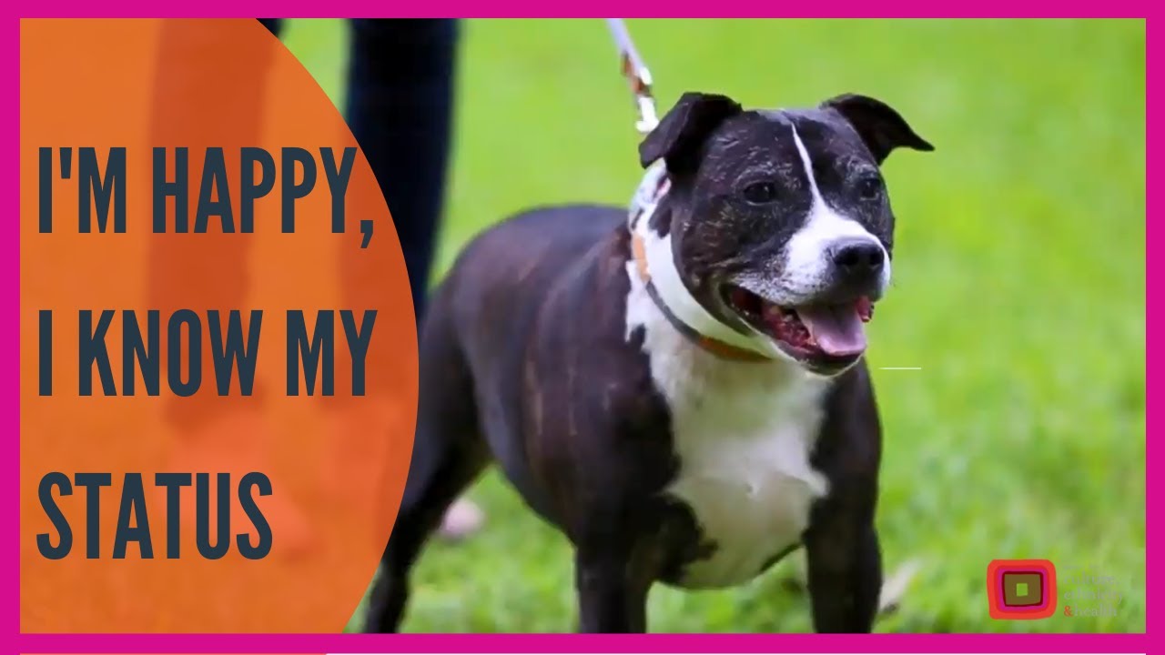 I'm Happy, I Know my Status: Get Tested for Hep B, HIV and STIs - YouTube