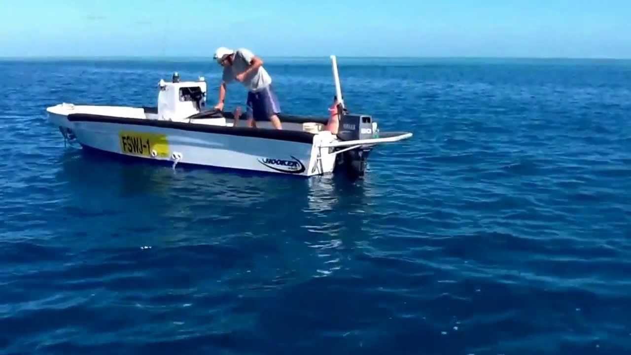 How Aussie fisherman catch coral trout - YouTube