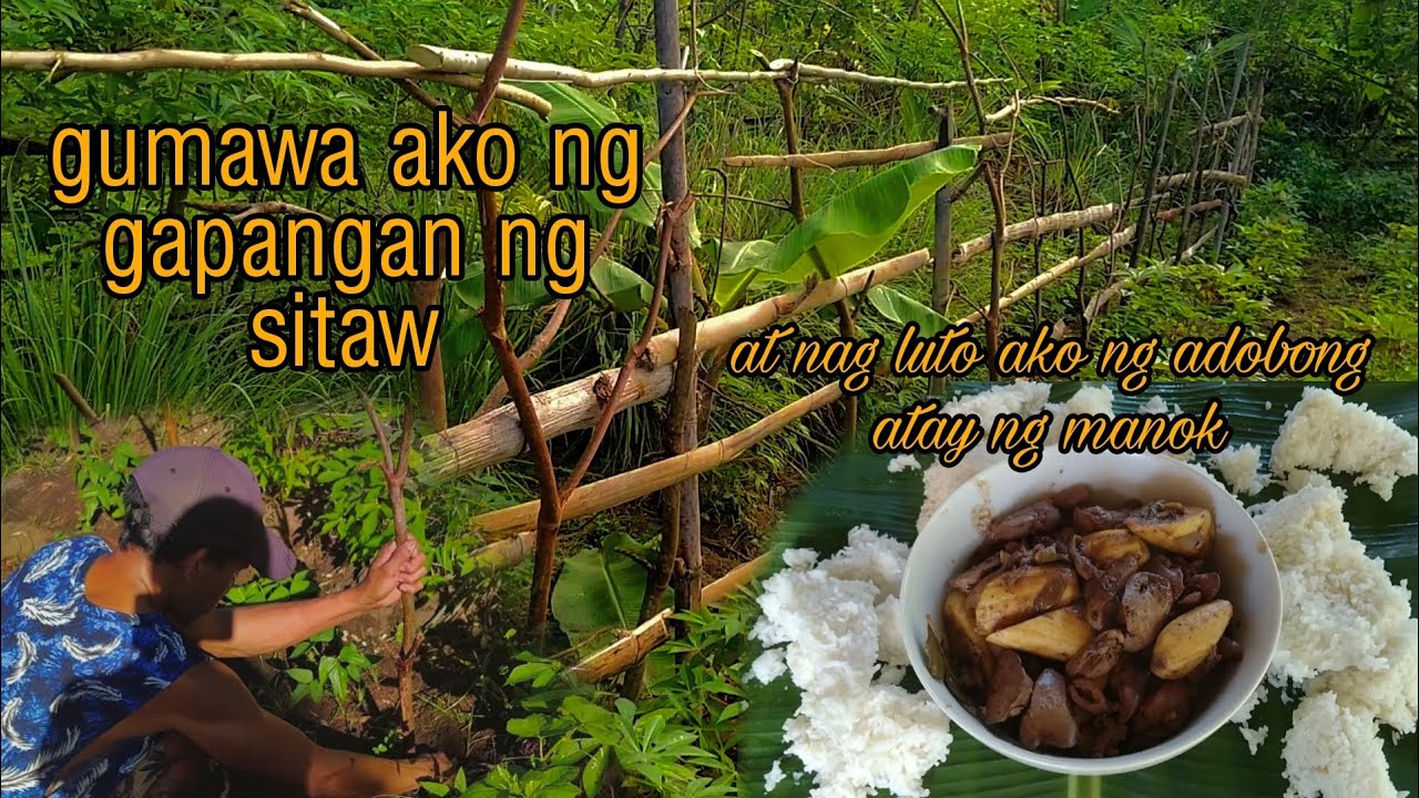 GUMAWA AKO NG GAPANGAN NG SITAW & NAG LUTO AKO NG ADOBONG ATAY - YouTube