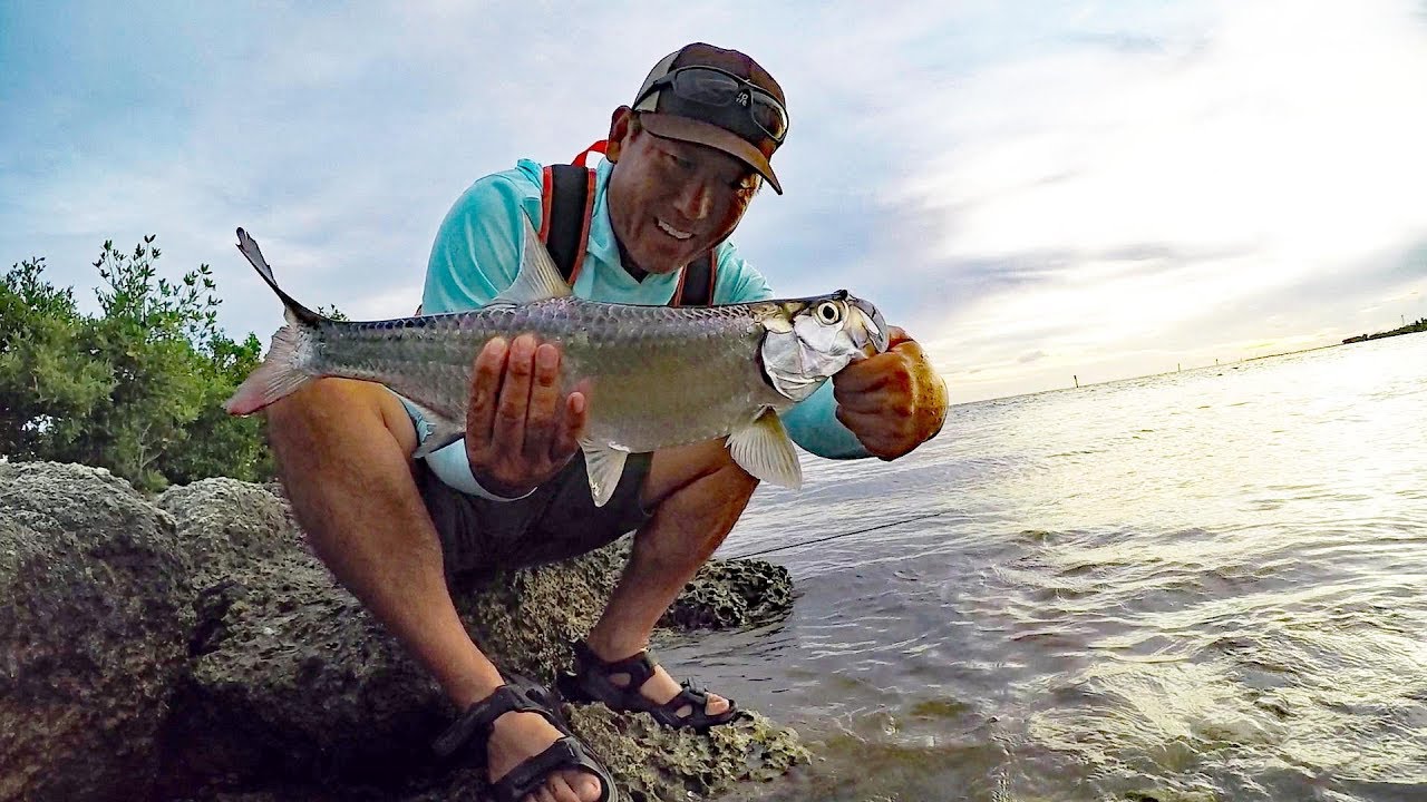 Key West: Tarpon Off The Beach...On The Fly - YouTube