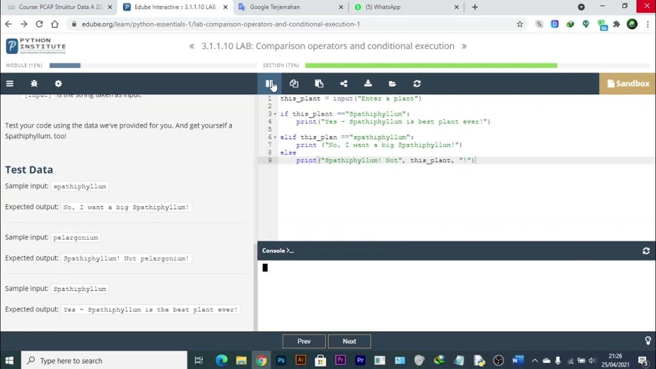 3.1.1.10 LAB: Comparison operators and conditional execution - YouTube