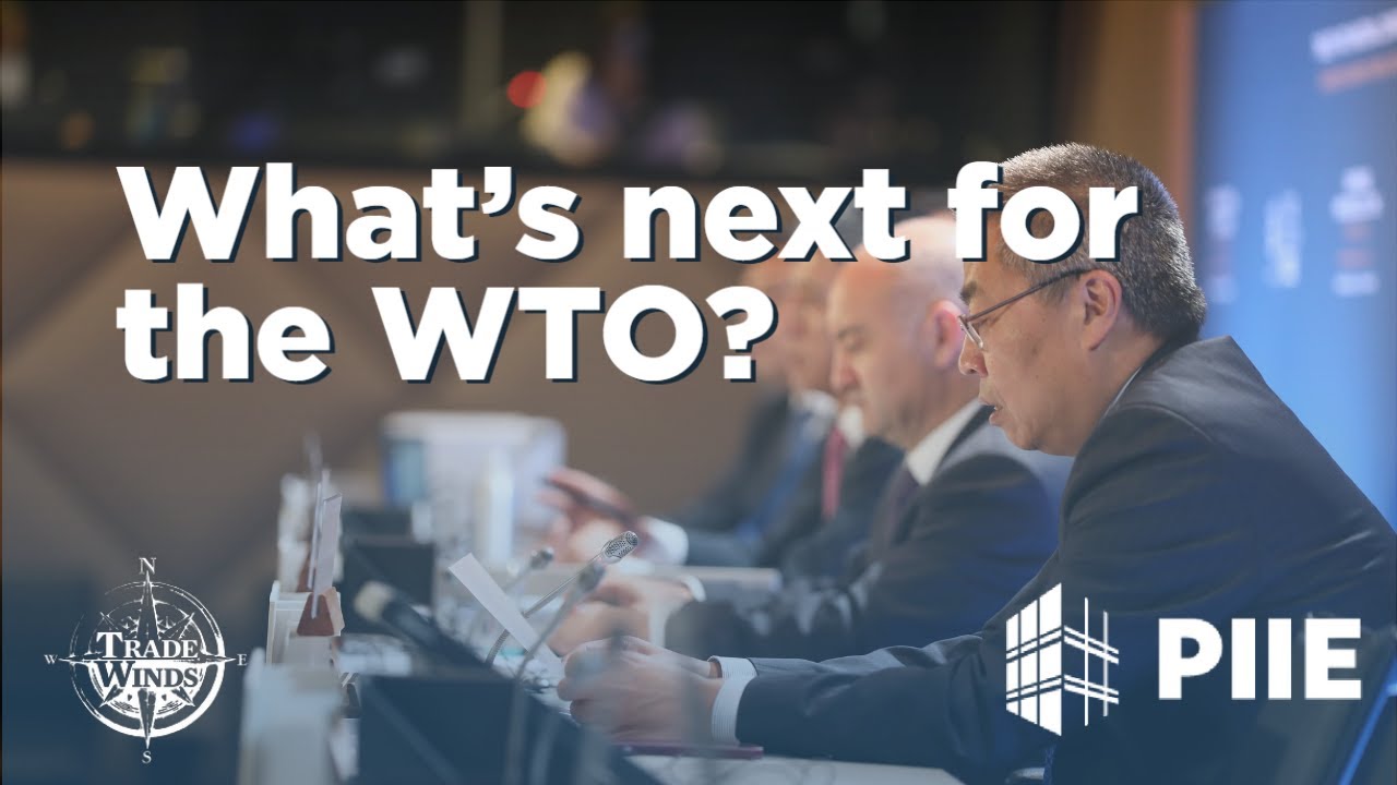 What's next for the WTO? - YouTube
