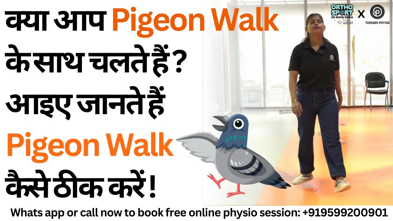 क्या आप Pigeon Walk के साथ चलते हैं ? आइए जानते हैं Pigeon Walk कैसे ...