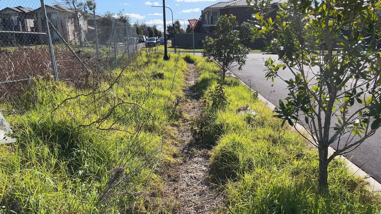 Is this the WORLD'S WORST maintained footpath? I clean it up for the ...