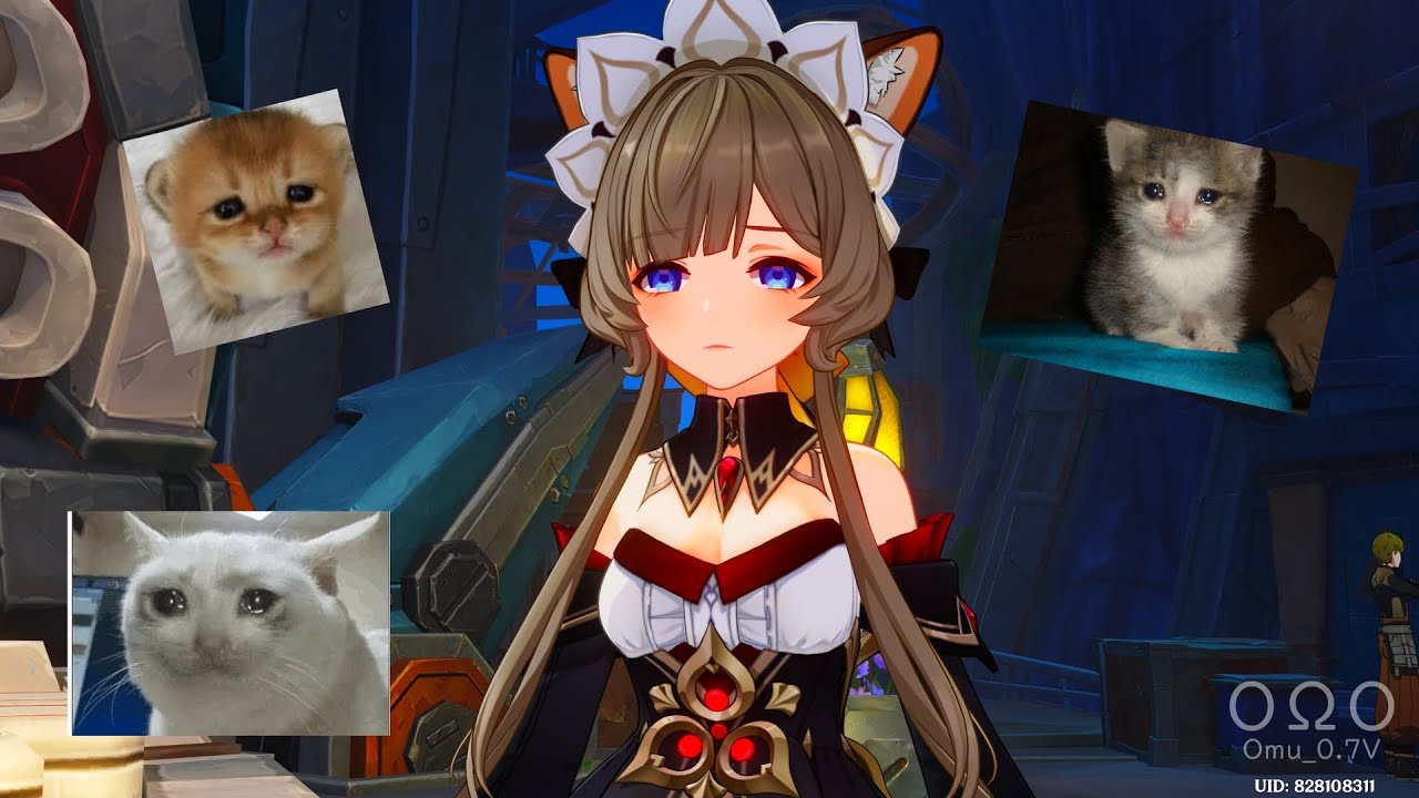 Please give this cat some love. please~ [Genshin Impact Columbina give ...