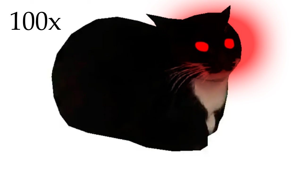 Maxwell the Cat spining VERY FAST 100x - YouTube