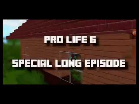 Minecraft pro life 6