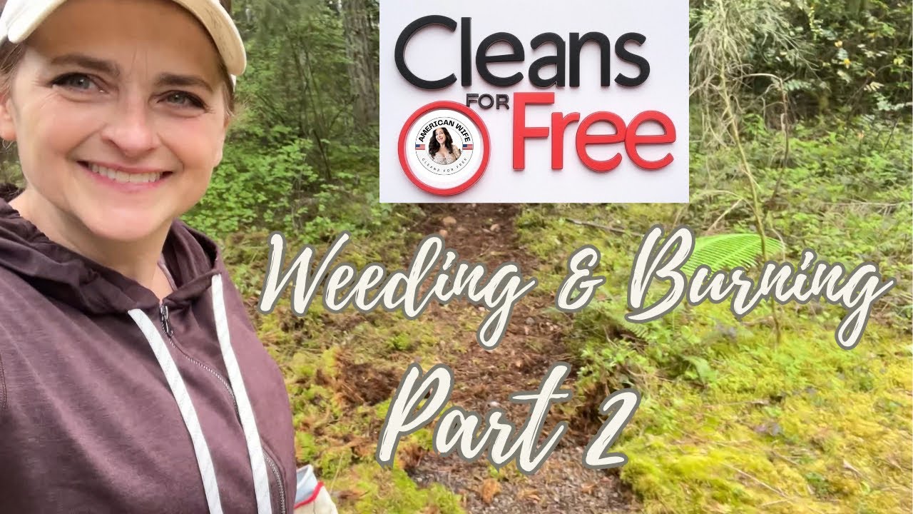 Weed for Free Pt 2 | Clearing Brambles, Moss, and Volunteer Trees - YouTube
