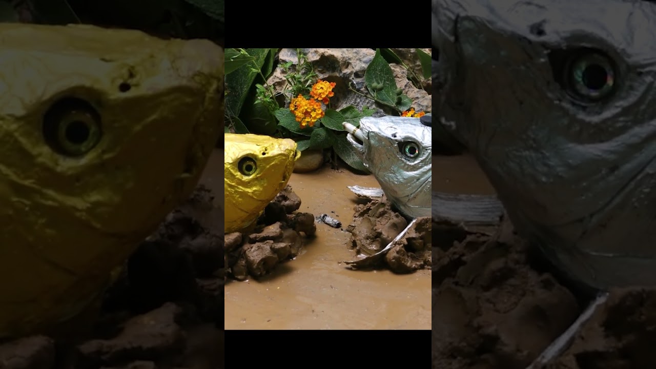 Funny Stop Motion Fish #short - YouTube