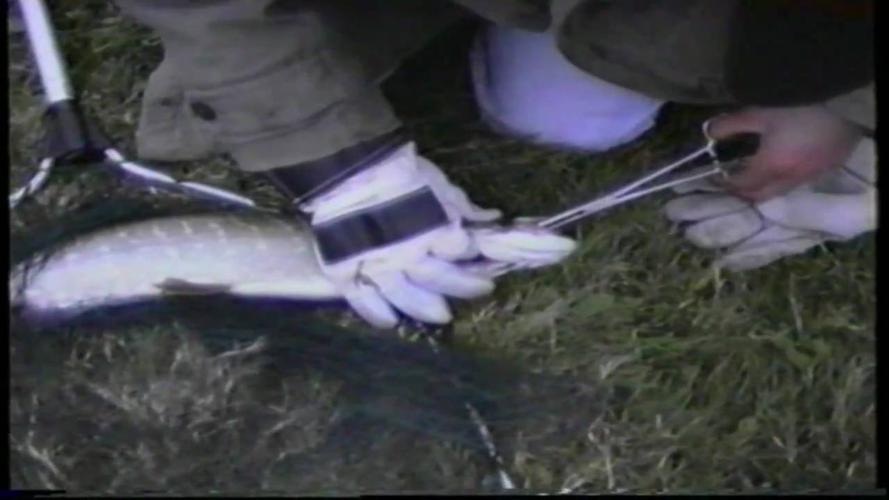 FISHING STARS PIKE FISHING AT BEESANDS NR DARTMOUTH UK. OCTOBER 25th ...