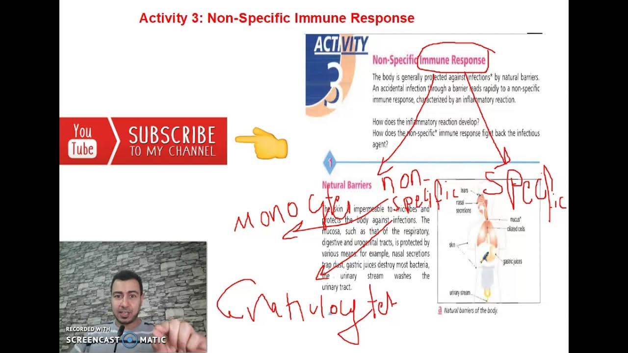 chapter 1; activity 3: Non-specific immune response grade 8 - YouTube