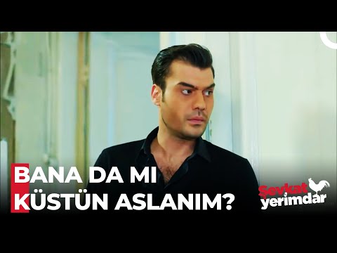 Şevkat'ten Gönül Alma Taktikleri - Şevkat Yerimdar