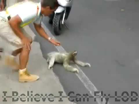 I Believe I can Fly (Legacy of discord) - YouTube