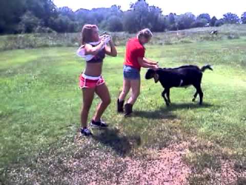 Riding the goat