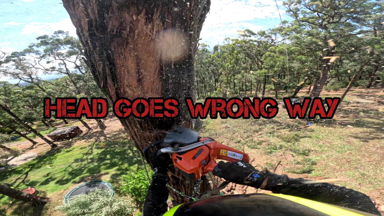 This could have gone bad! head goes wrong way - YouTube